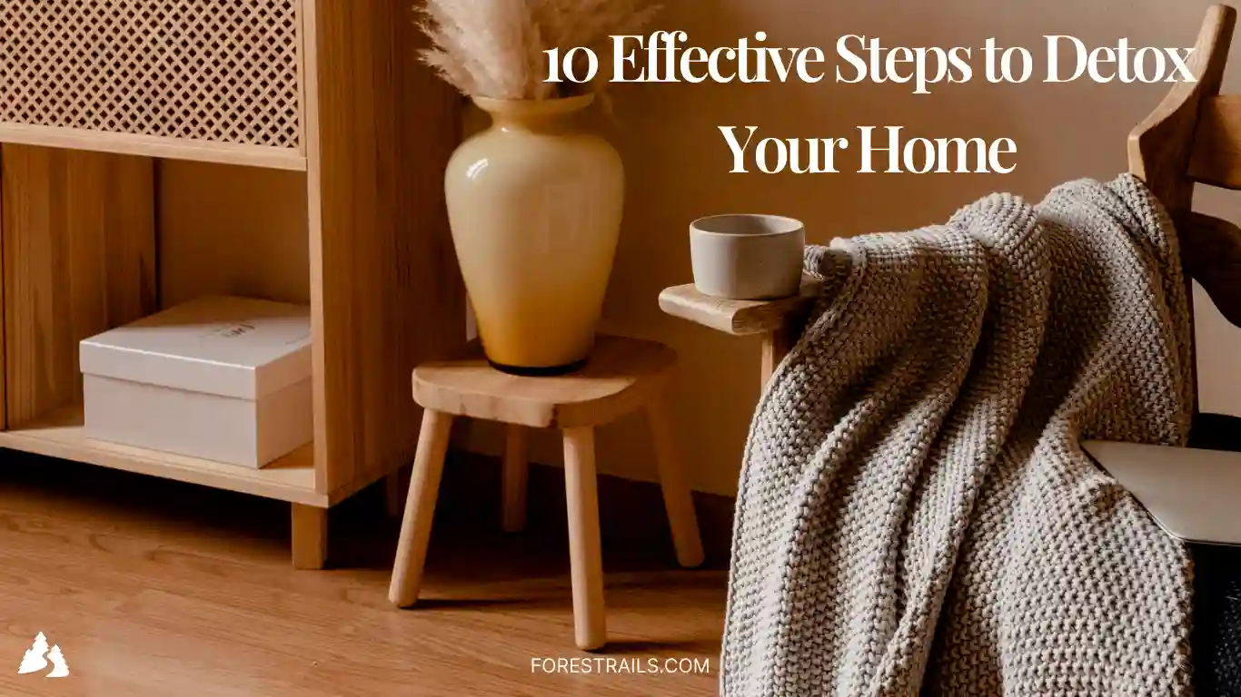 10 Effective Steps to Detox Your Home For A Healthier Life