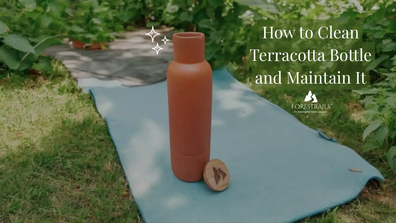 5 Easy Ways to Clean Terracotta Bottle and Maintain It