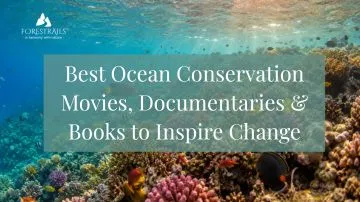 Best Ocean Conservation Movies, Documentaries & Books to Inspire Change ...
